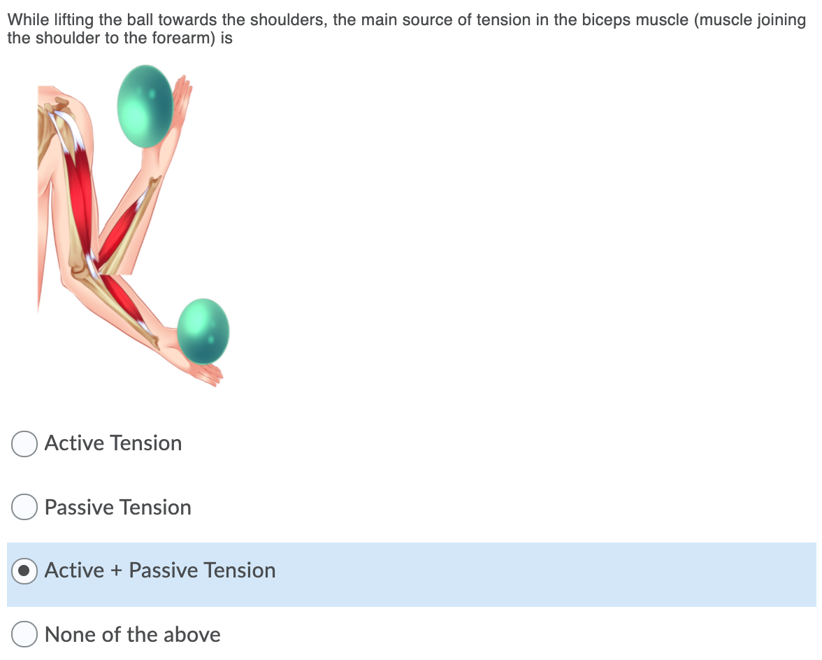 Solved In generation of tension in muscle, the curve for | Chegg.com