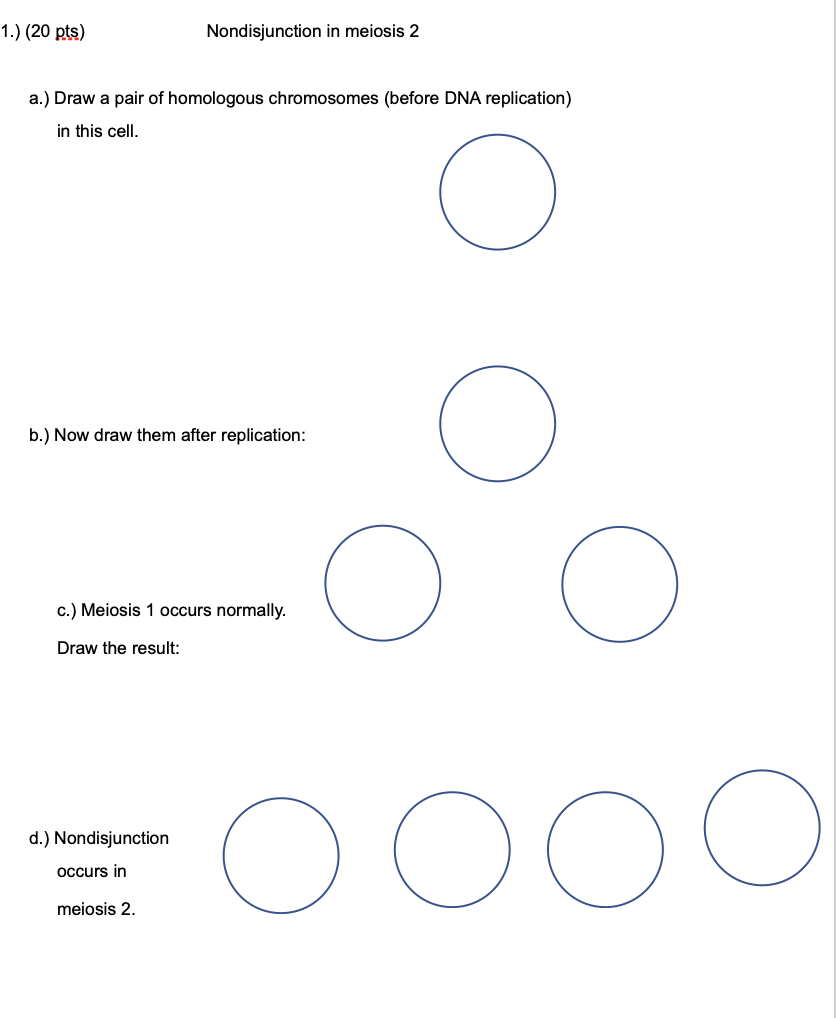 Solved 1.) (20 pts) Nondisjunction in meiosis 2 a.) Draw a | Chegg.com