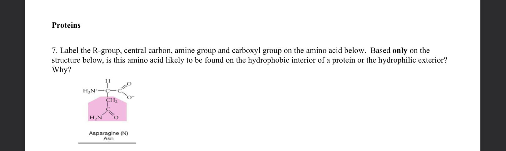 Solved 6. On the image below, identify the 5′ and 3′ ends, | Chegg.com
