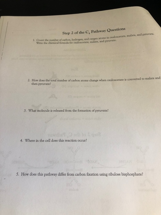 Solved Step 2 of the C, Pathway Questions carbon, hydrogen, | Chegg.com