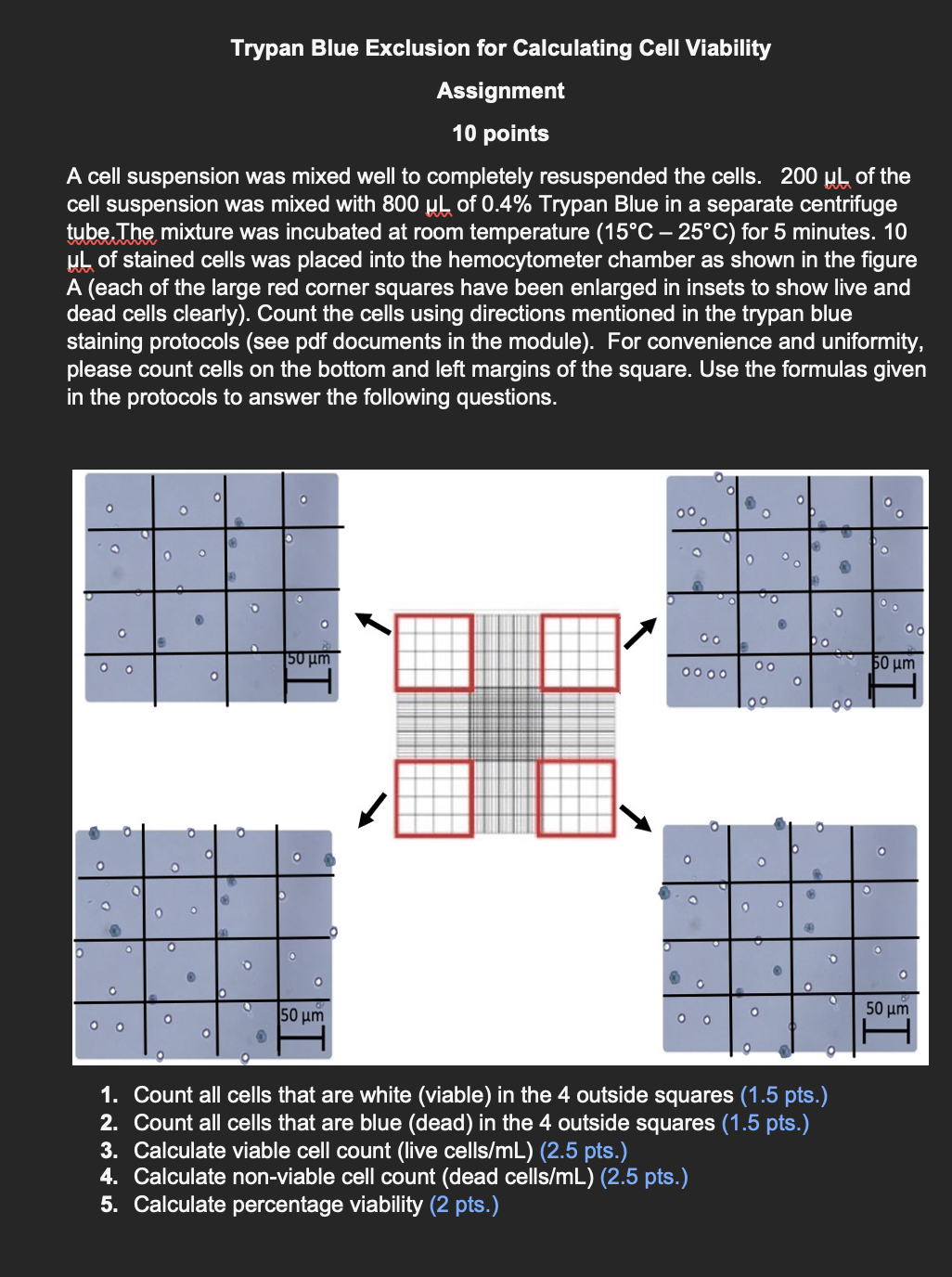 Solved Trypan Blue Exclusion for Calculating Cell | Chegg.com