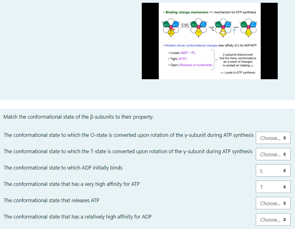 Solved . Binding change mechanism => mechanism for ATP | Chegg.com