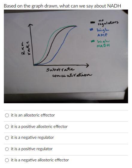 Solved Based on the graph drawn, what can we say about NADH | Chegg.com