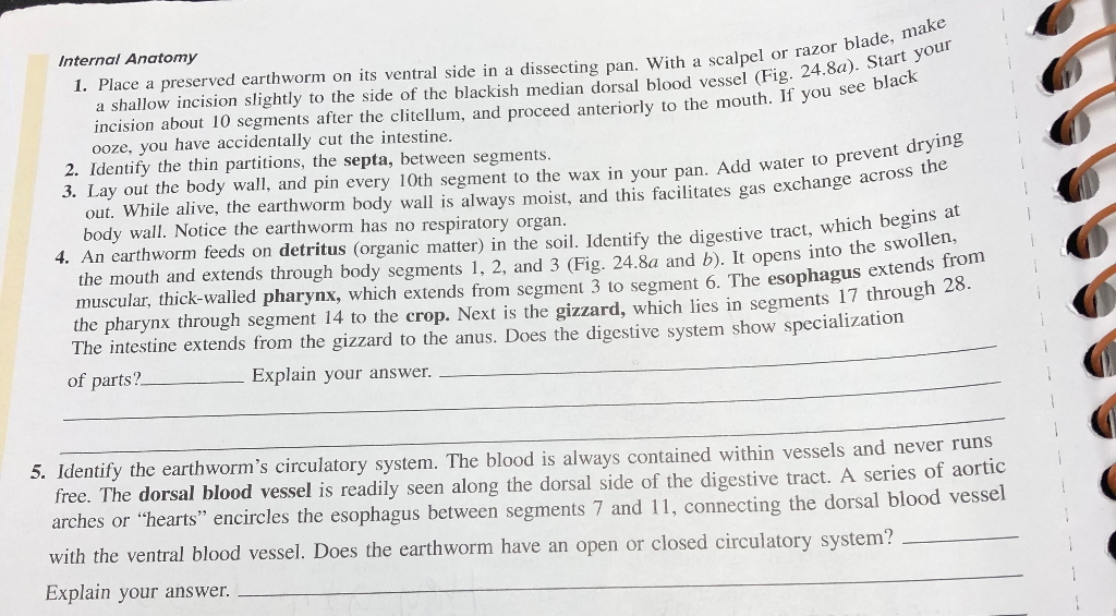 Solved calpel or razor blade, make el (Fig. 24.8a). Start | Chegg.com