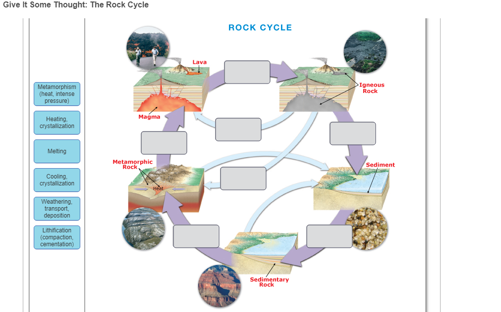 Solved In the image below, label the arrows for the correct | Chegg.com