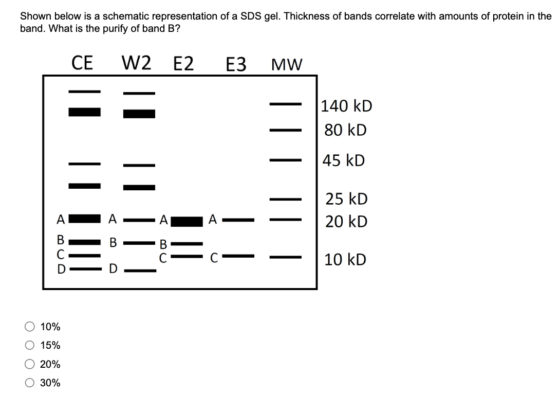 Solved Shown below is a schematic representation of a SDS | Chegg.com