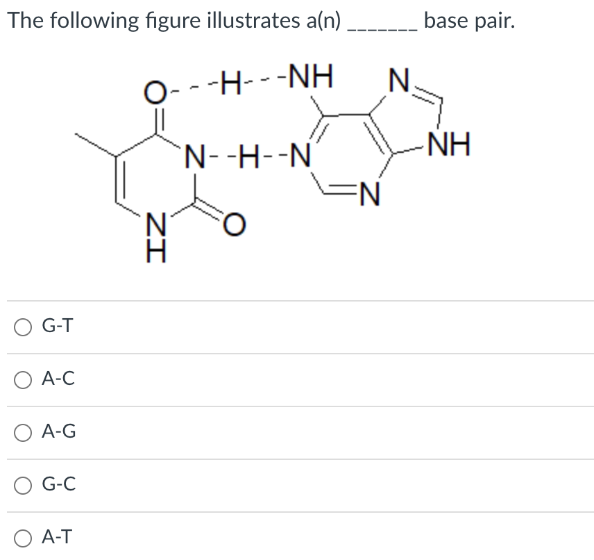 Solved How do mRNA and tRNA interact during the protein | Chegg.com