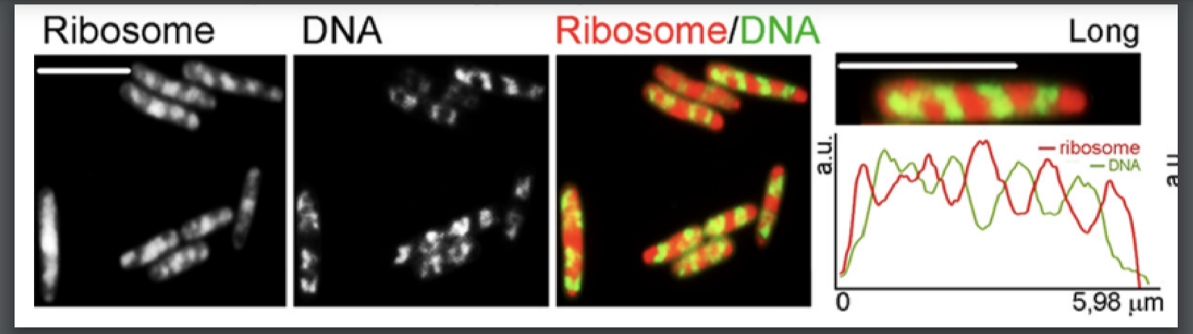 Analyze the figure found in the link below. Each | Chegg.com