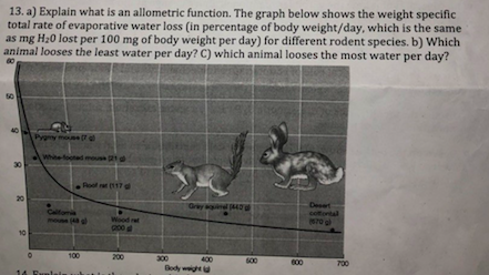 13. a) Explain what is an allometric function. The | Chegg.com