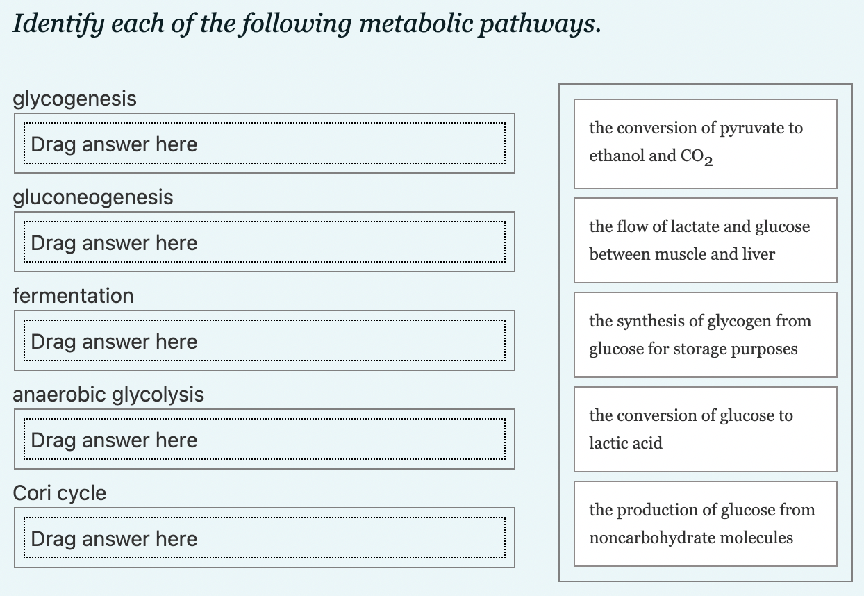 Solved Identify each of the following metabolic pathways. | Chegg.com