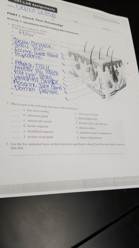 Solved UST-LAB Assignments PART I. Check Your Knowledge | Chegg.com