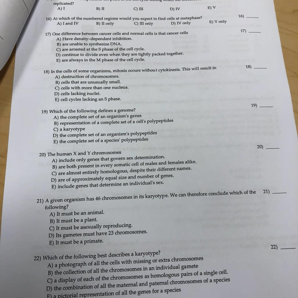 Solved Replicated 16 At Which Of The Numbered Regions Chegg