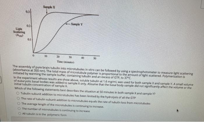 Solved The assembly of pure brain tubulin into microtubules | Chegg.com