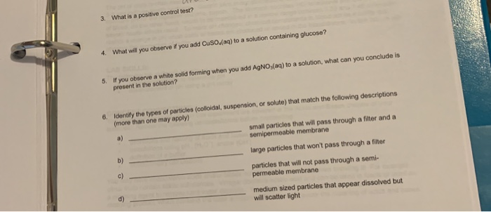 Solved What is a positive control test? 3. 4. What will you | Chegg.com