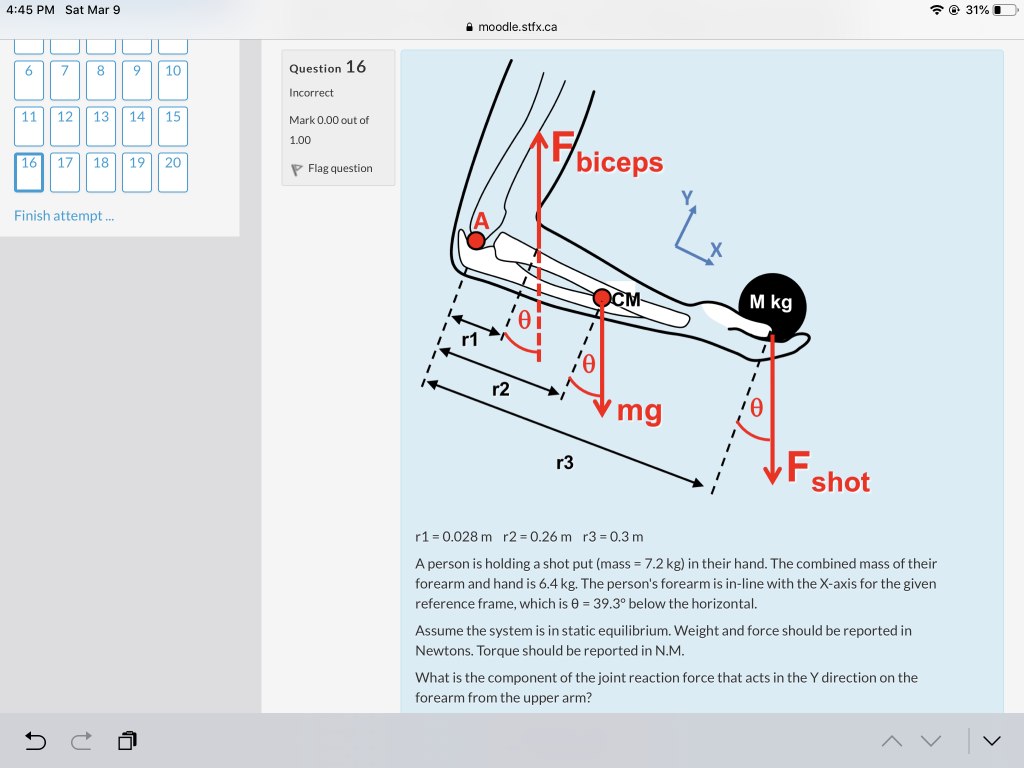 Solved 4:45 PM Sat Mar 9 令@ 31% moodle.stfx.ca Question 16 | Chegg.com
