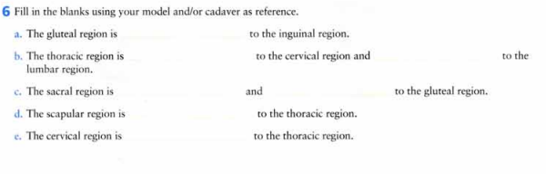 Solved 4 Fill in the blanks using your model and/or cadaver | Chegg.com