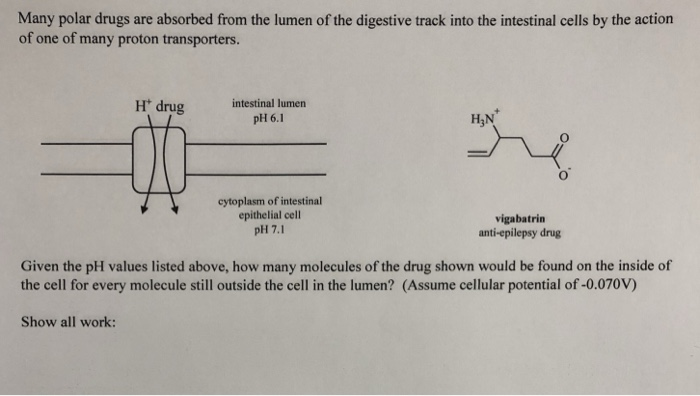 Many polar drugs are absorbed from the lumen of the | Chegg.com