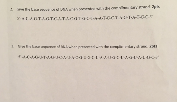 Base Sequence Of Dna