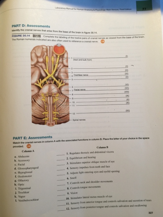 Solved Main Version Thied Edition PART D: Assessments | Chegg.com Solved Main Version Thied Edition PART D: Assessments | Chegg.com