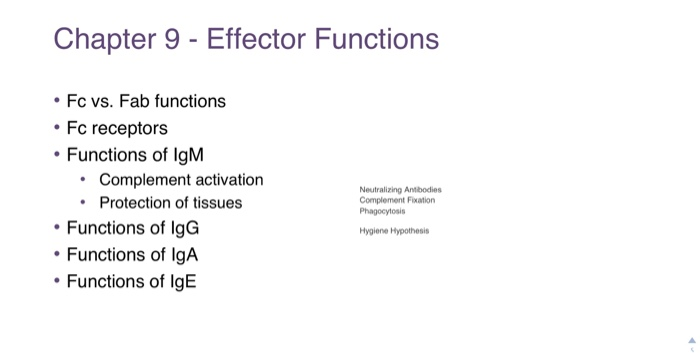 Solved Chapter 9 - Effector Functions Fc vs. Fab functions | Chegg.com