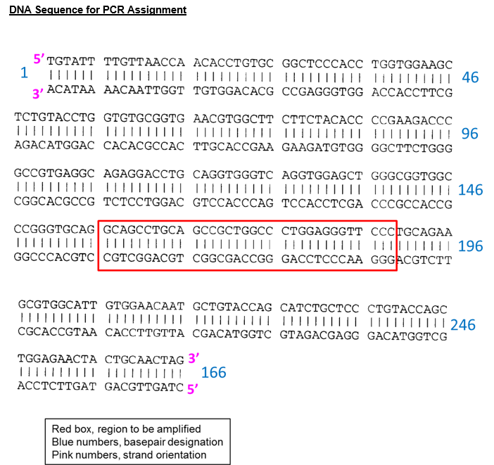 Instructions: Refer to the DNA sequence on the | Chegg.com