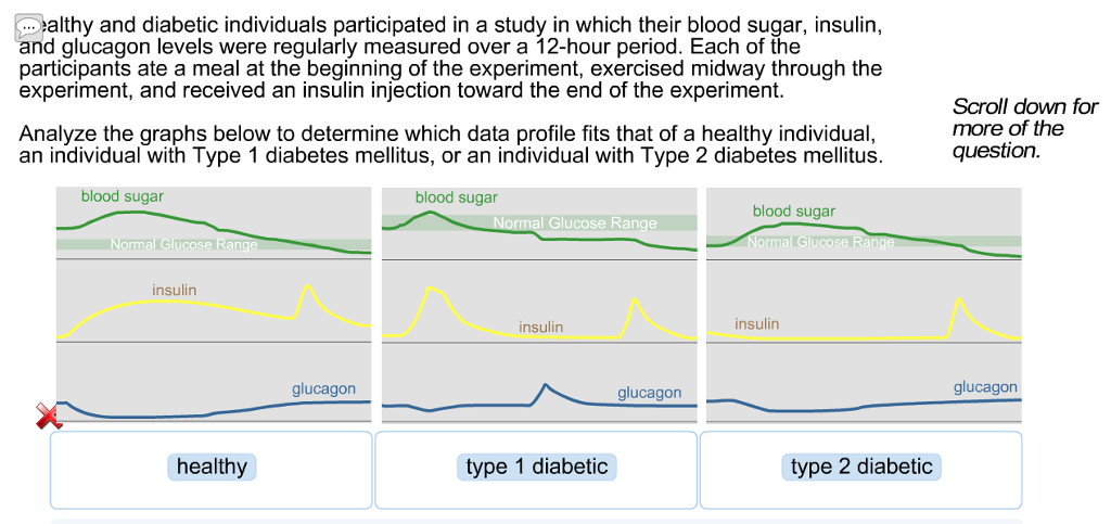 Diabetes Type 2 Graphs