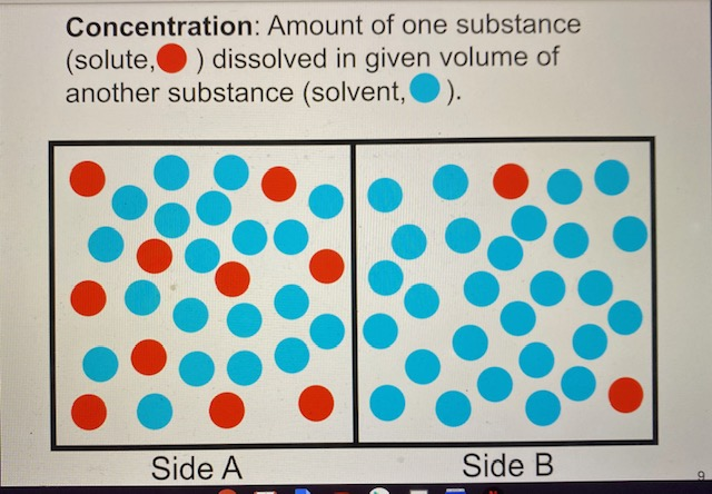 Solved Describe the concentrations of solute and solvent on | Chegg.com