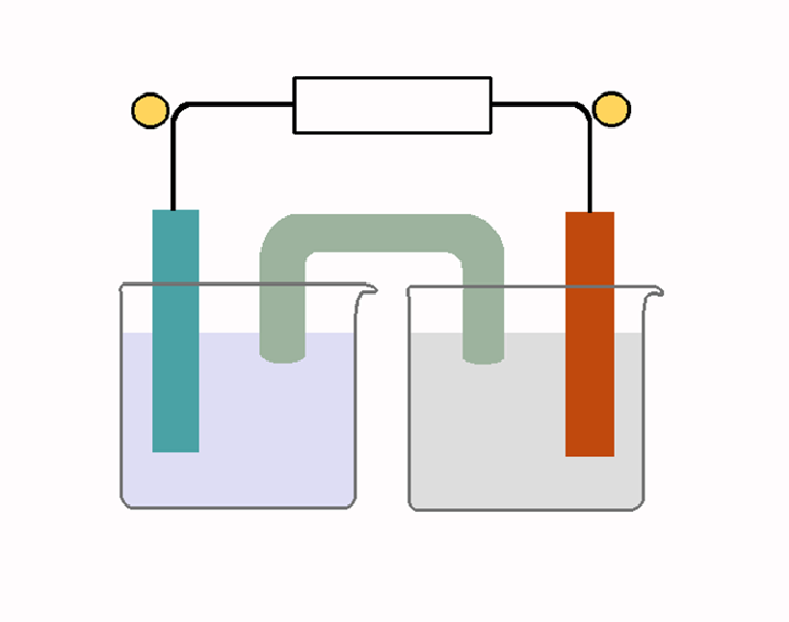 Solved On the diagram below, name the following parts of | Chegg.com