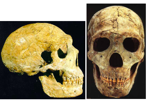 Solved Answer Each of the Following parts about the | Chegg.com