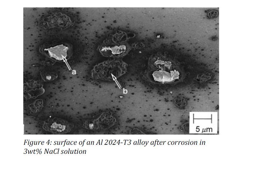 The corrosion processes over a heterogeneous Al 2024 | Chegg.com