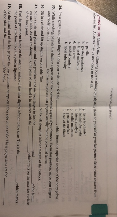 Solved The r Skeleton TIONS 34-39: Identify the following | Chegg.com