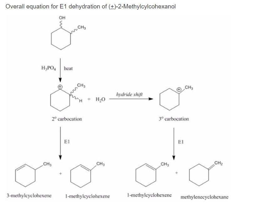 Solved Overall equation for E1 dehydration of | Chegg.com