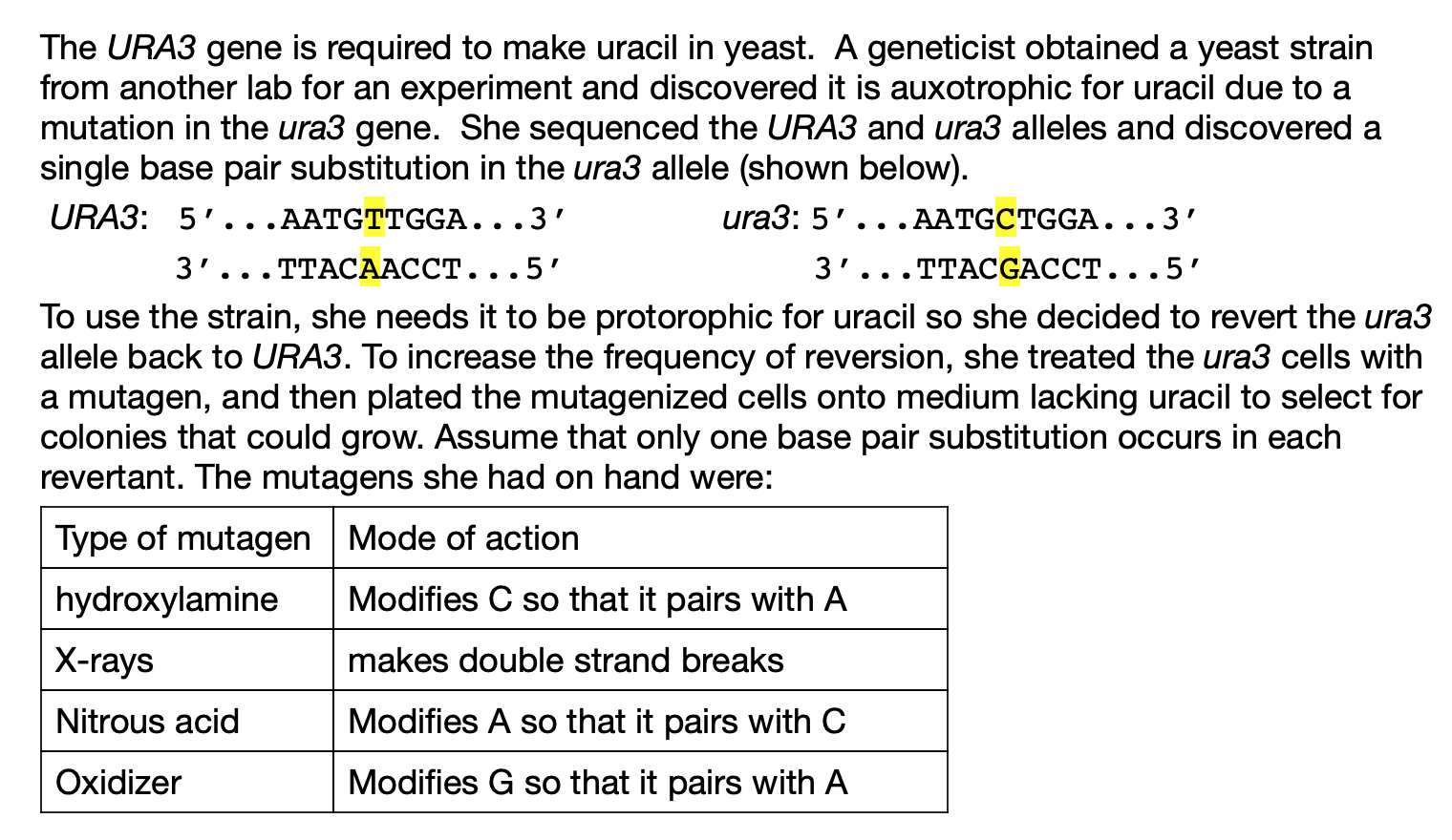Solved . 31 The URA3 gene is required to make uracil in | Chegg.com