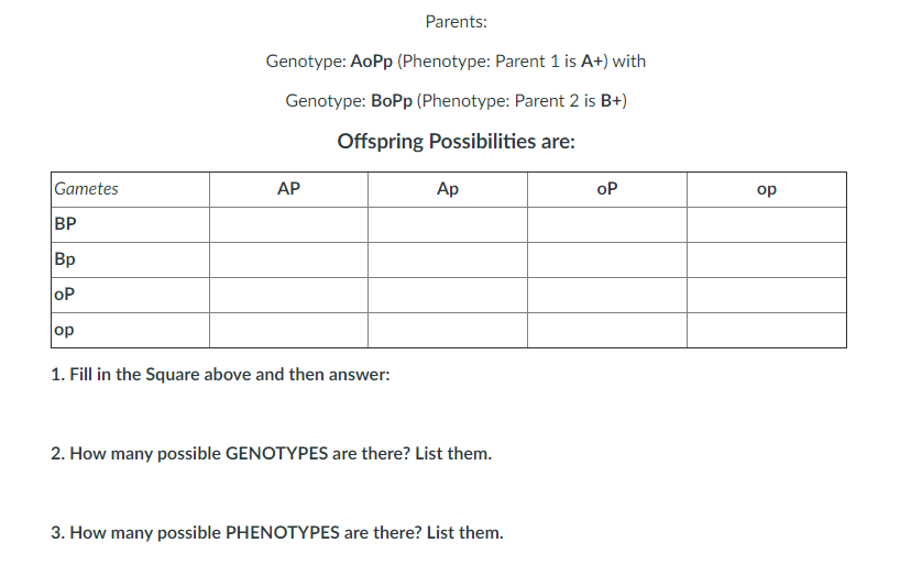 Solved Parents: Genotype: AoPp (Phenotype: Parent 1 is A+) | Chegg.com