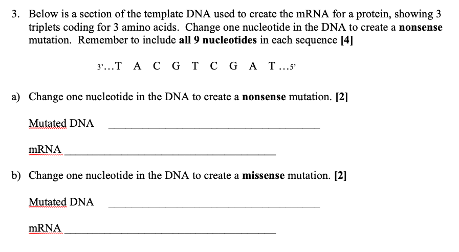 Solved 3. Below is a section of the template DNA used to | Chegg.com