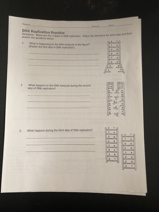 Solved Date: Names Period DNA Replication Practice | Chegg.com Solved Date: Names Period DNA Replication Practice | Chegg.com