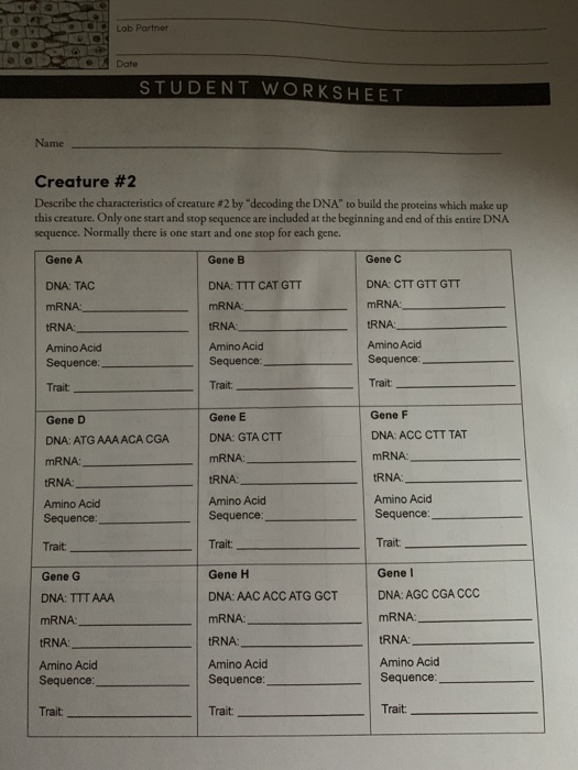 Solved Lab Partner Date STUDENT WORKSHEET Name Creature #2 | Chegg.com