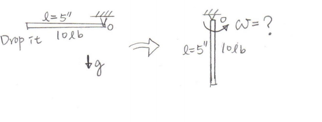 Solved The 10-lb and 5" long slender rod is released from | Chegg.com