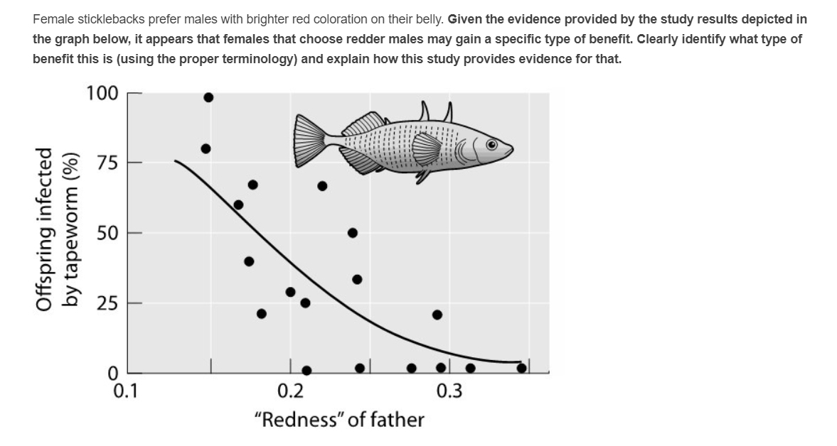 Solved Female sticklebacks prefer males with brighter red | Chegg.com