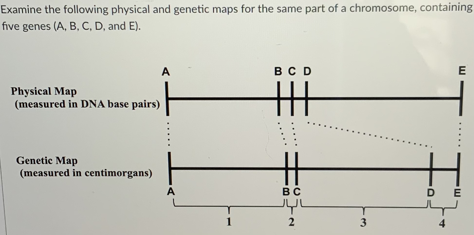 Solved Which region could best be described as a | Chegg.com
