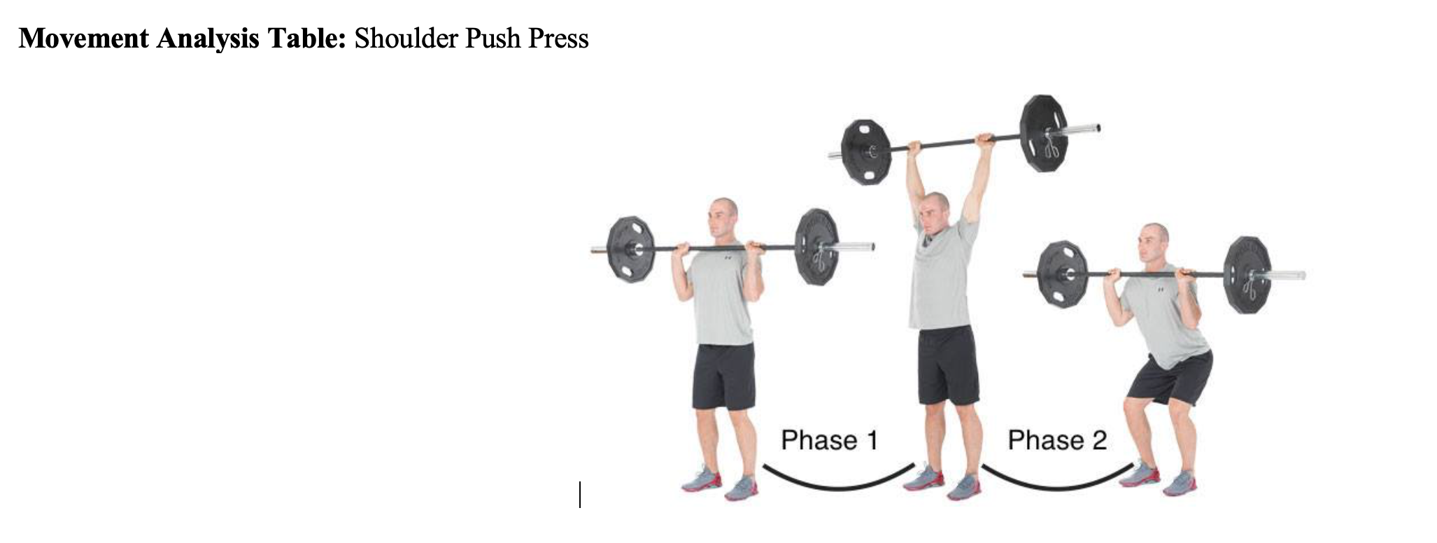 Movement Analysis Table: Shoulder Push Press Phase 1 | Chegg.com