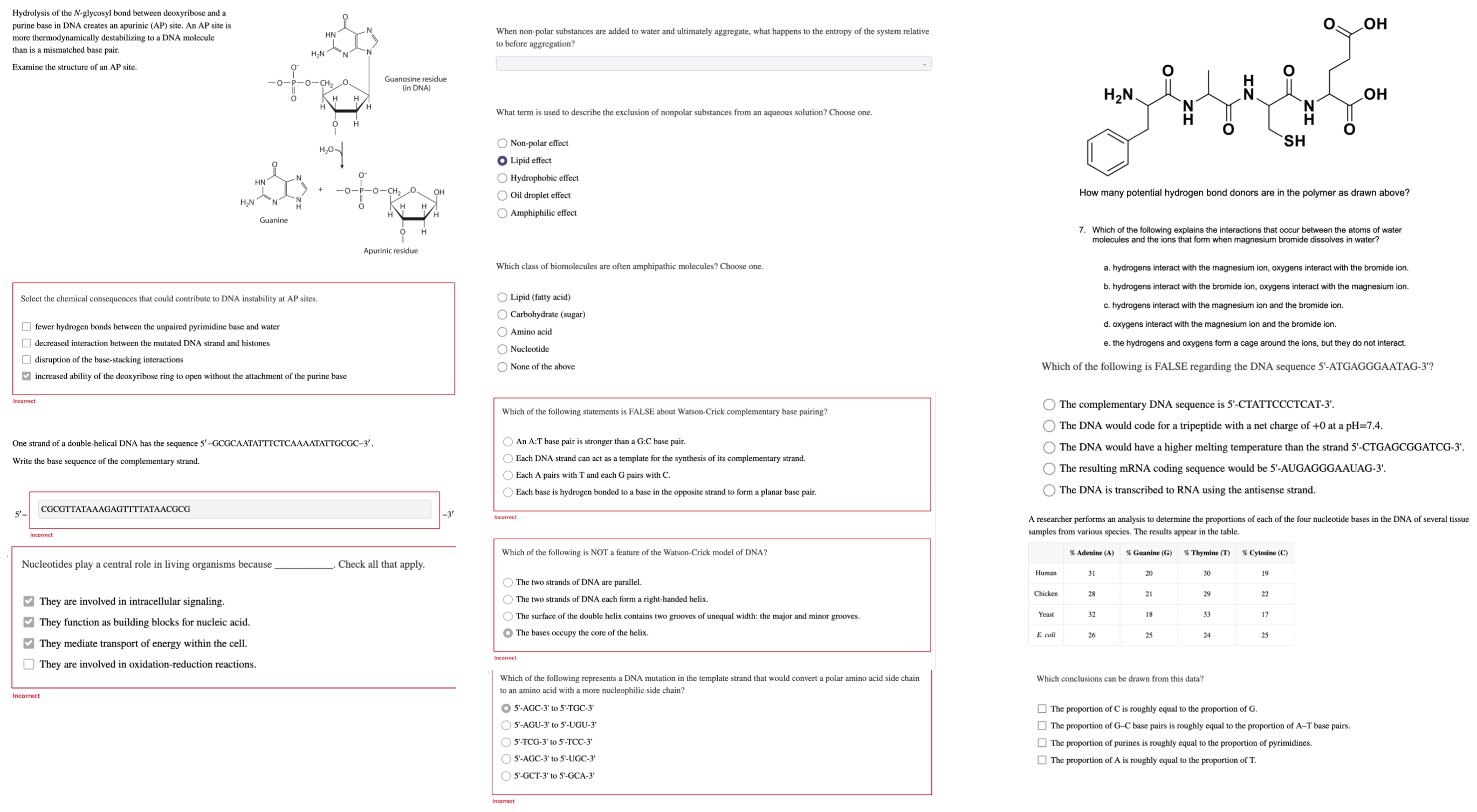 Solved Which class of biomolecules are often amphipathic | Chegg.com