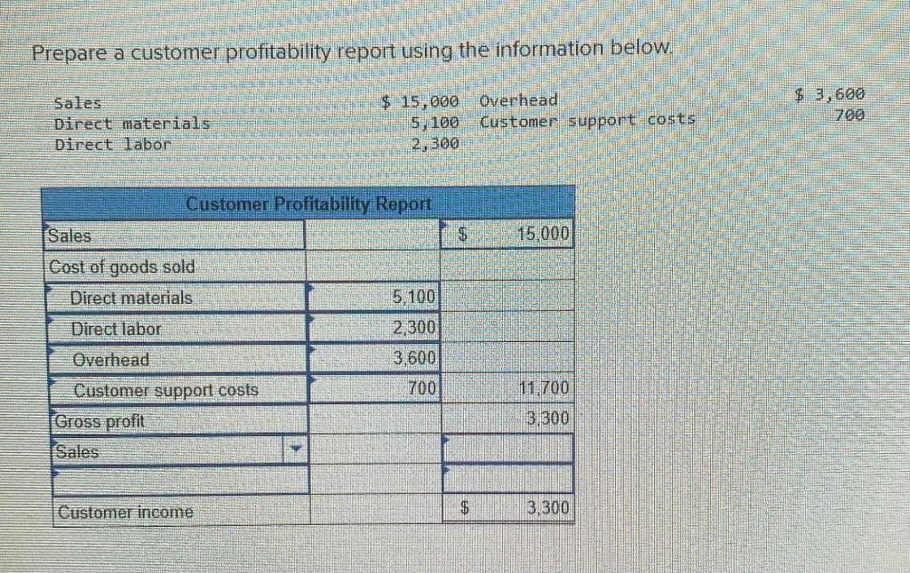 Solved Prepare a customer profitability report using the | Chegg.com