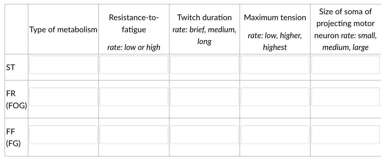 Solved Summarize the differences between slow twitch (ST) | Chegg.com