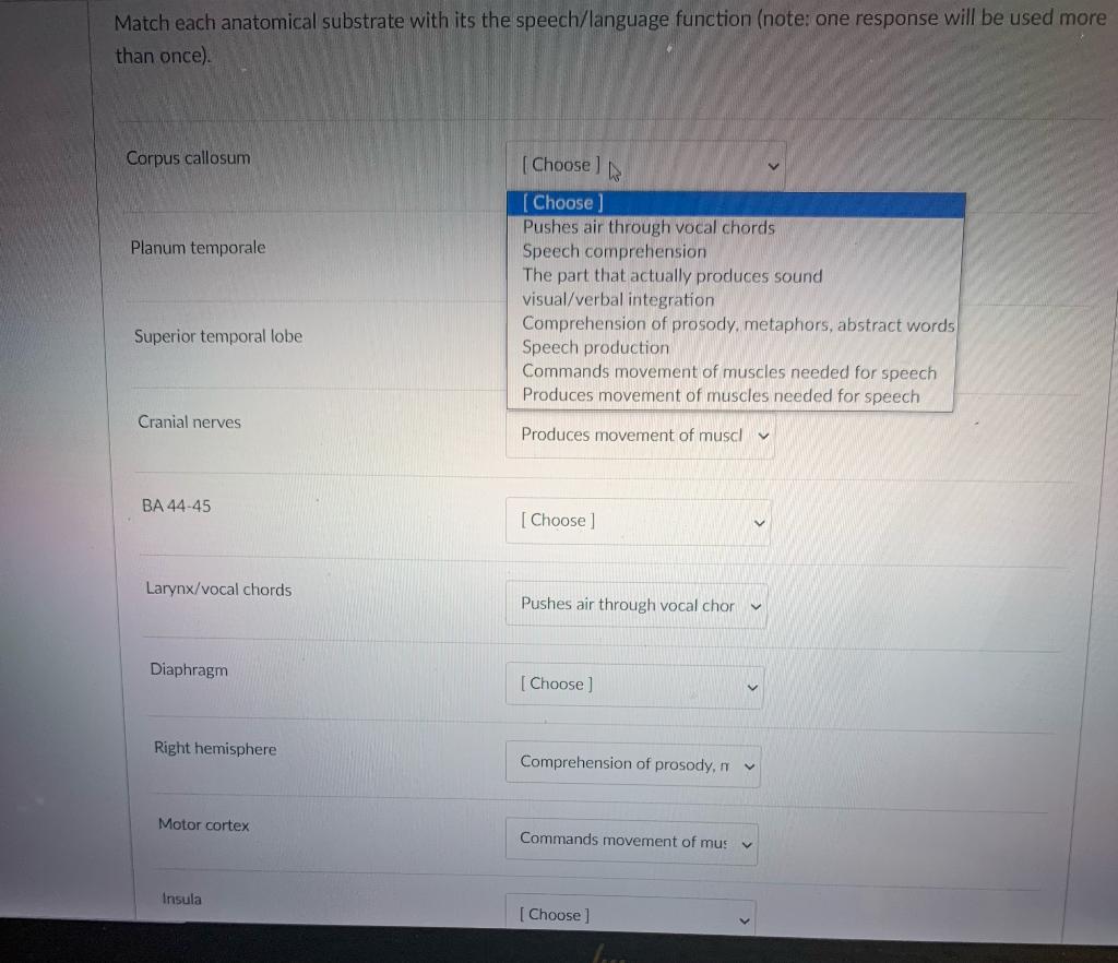 Solved Match each anatomical substrate with its the | Chegg.com