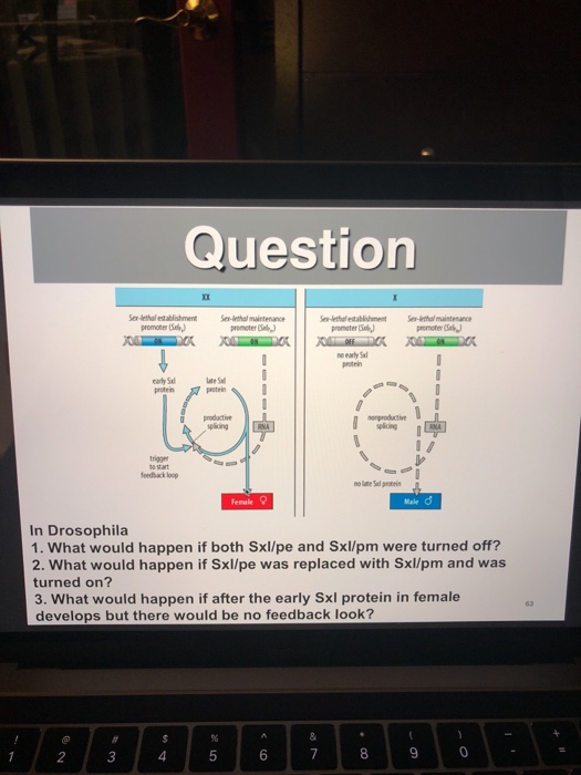 Question e-lethal establishment Sea-lithal | Chegg.com