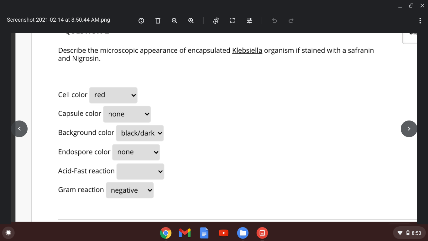 Solved Screenshot 2021-02-14 at 8.55.40 AM.png 14! How would | Chegg.com