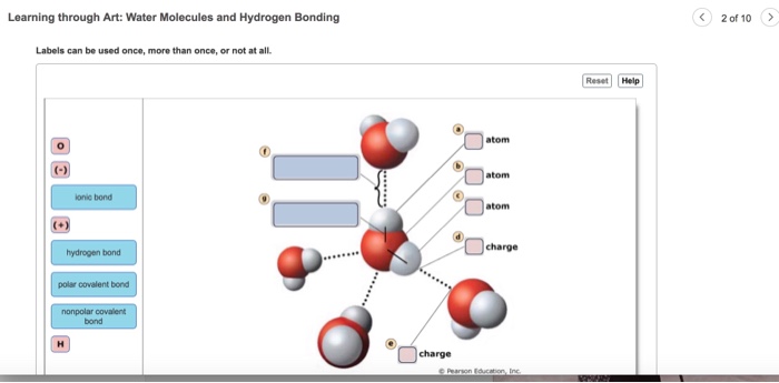 Solved Learning through Art: Water Molecules and Hydrogen | Chegg.com