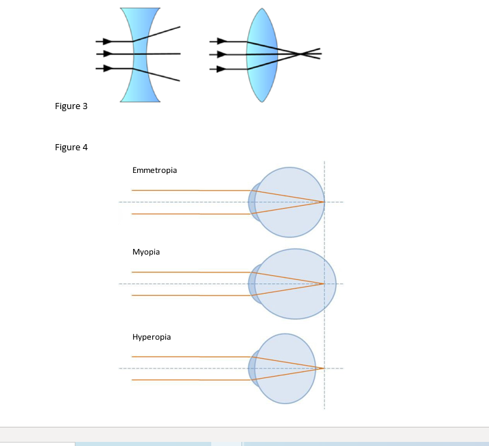 Solved 1) Examine Figure 3 again. What happens to light rays | Chegg.com