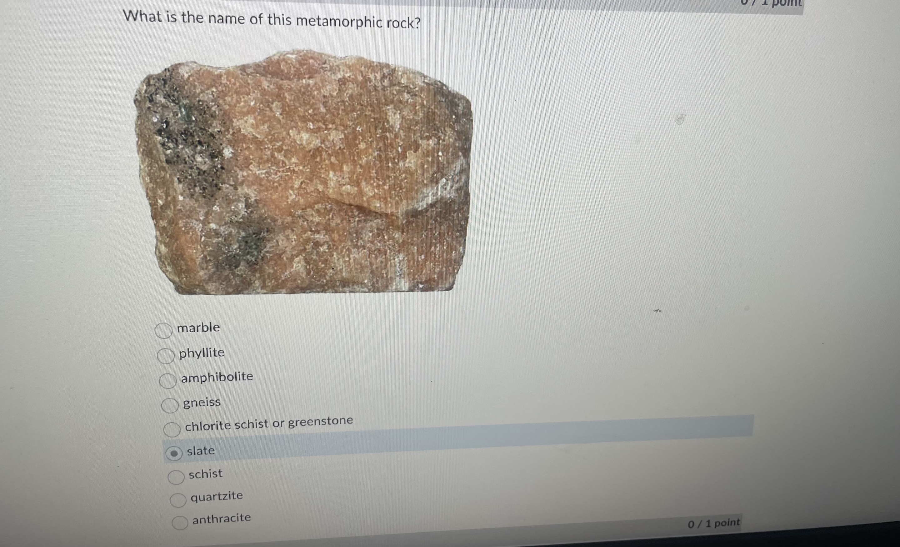 Solved What is the name of this metamorphic | Chegg.com